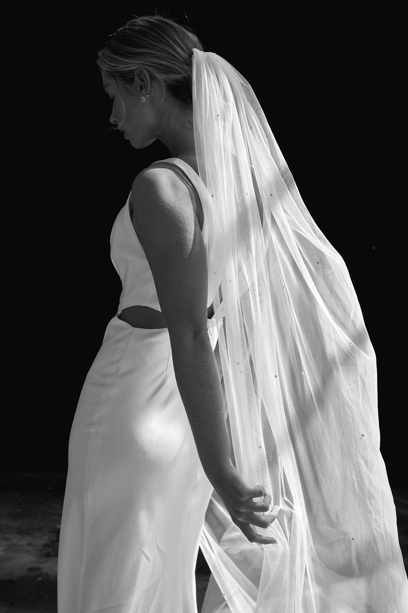 Crystal Wedding Veil: Ethereal Allure and Timeless Elegance | Amélie ...